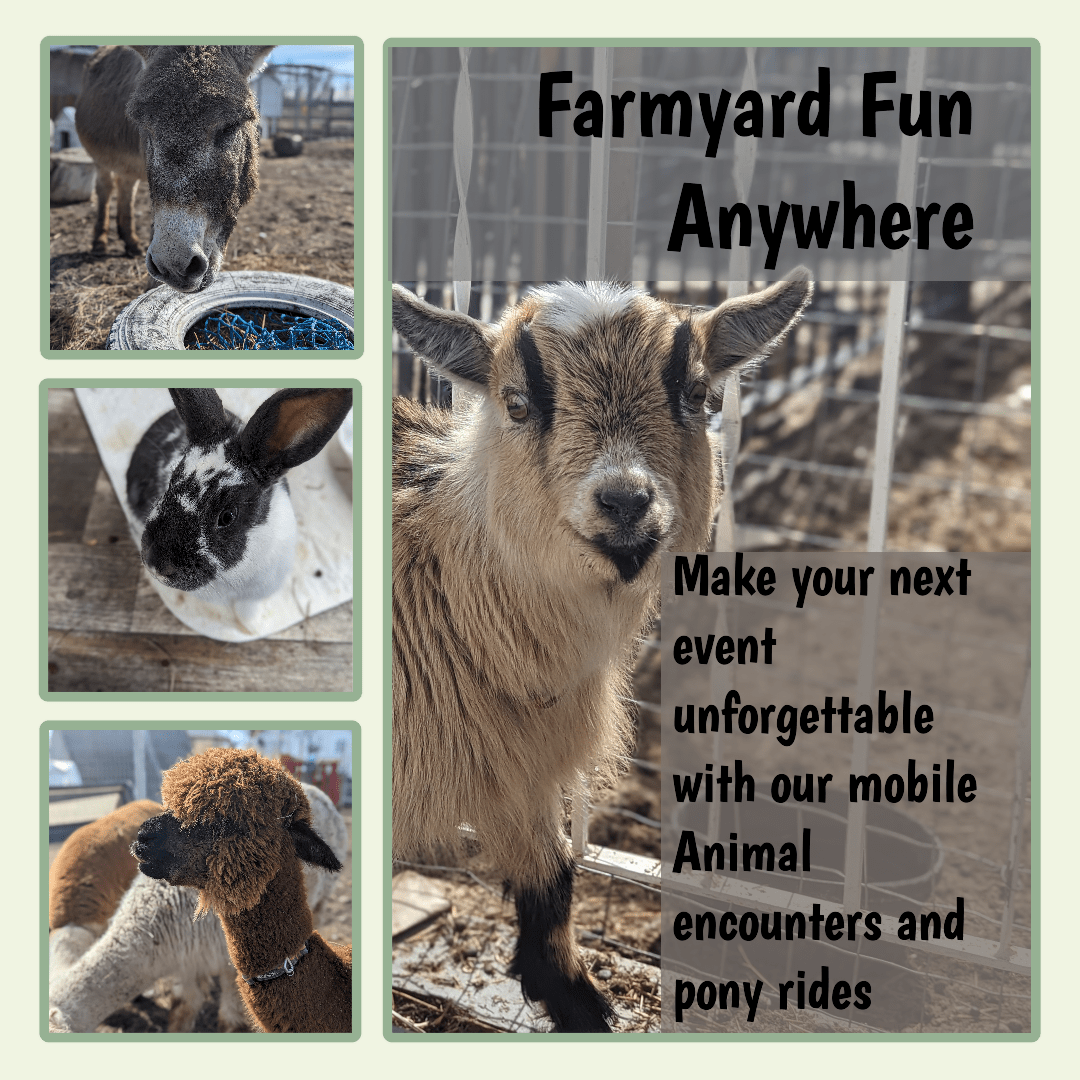 Mobile Petting Zoo - Gentle Giant Acres